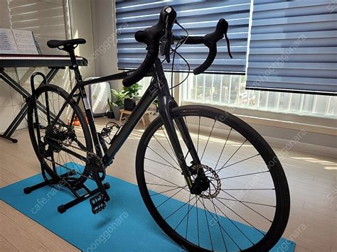 로드자전거 캐논데일 탑스톤4 로드바이크사이클 중고나라