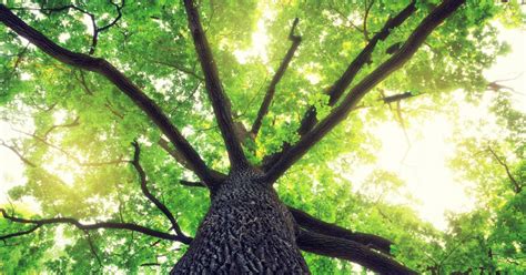 pointer based data structures in spark the adacore blog