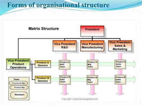 The Organising Function Pptx