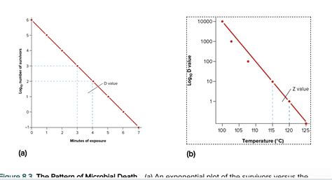 Solved A Whats Decimal Reduction Time D Value And Why Is It