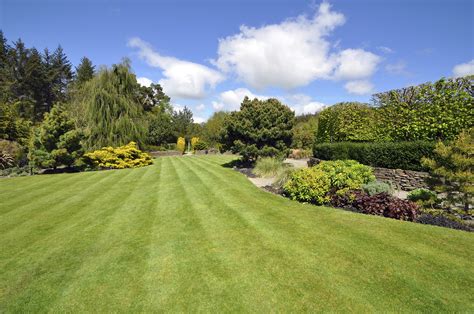 Expanding Your Lawn Growing Guides Daltons