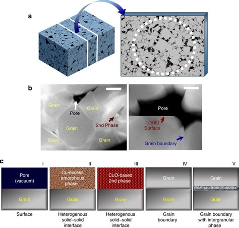 Polycrystalline Microstructure And Five Distinct Types Of Interfaces A Download Scientific