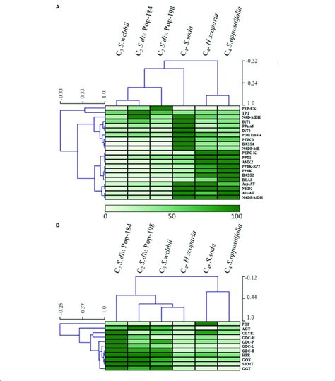 Hierarchical Clustering And Heatmap Of Relative Transcript Abundance