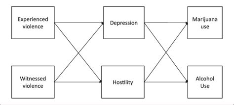 Conceptual Model Predicting Substance Use Control Variables Not