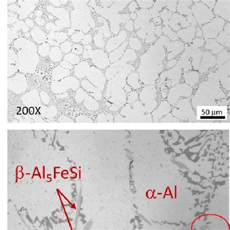 Microstructure Of Commercial A356 Alloy Download Scientific Diagram