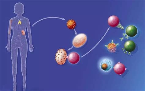 通俗易懂 免疫系统、免疫细胞那些事儿 病原体