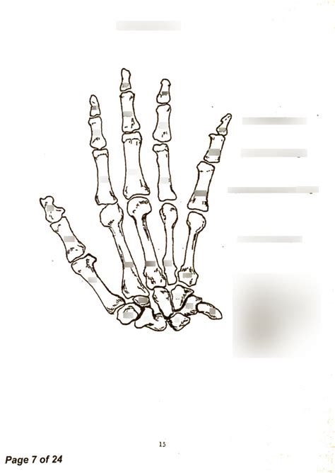 Hand Diagram Quizlet