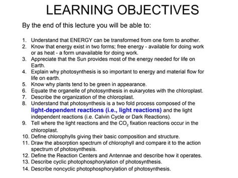 Photosynthesis Ppt