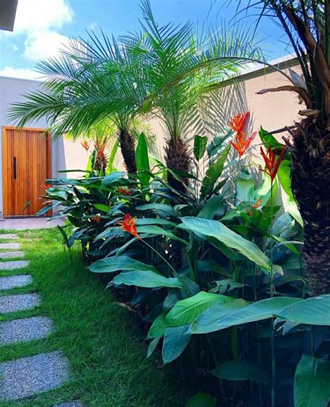 Jardim Tropical Pequenos Jardins Tropicais Belos Jardins Piso De Jardim
