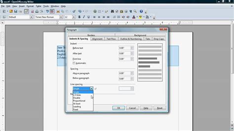 openoffice excel format snoal