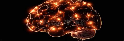 Exploration Of Brain Functions Illustrated With Glowing Neuron Pathways