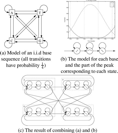 Figure 1 From Hidden Markov Models For Dna Sequencing Semantic Scholar