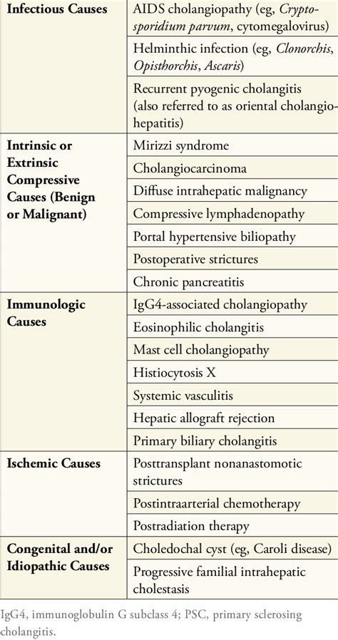 Causes Of Secondary Sclerosing Cholangitis And Mimics Of Psc Download