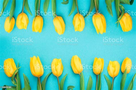오른쪽에 노란색 튤립 프레임 휴대 전화와 파란색 배경 모의 공간을 복사합니다 플랫 레이 봄 축제의 개념 0명에 대한 스톡 사진 및 기타 이미지 Istock