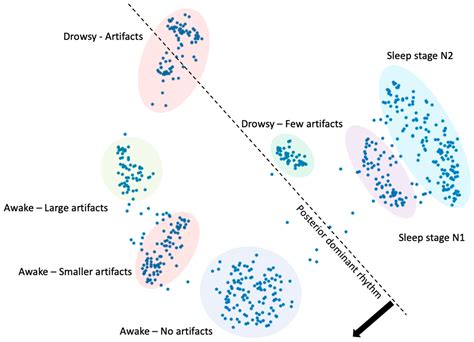 Get A New Perspective On Eeg Convolutional Neural Network Encoders For Parametric T Sne