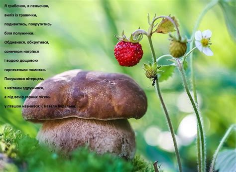 Вірші для дітей українською Грибочок