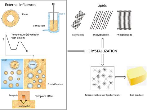Figure 1 From Lipid Crystallization Kinetics — Roles Of External Factors Influencing