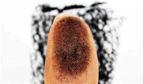 How Biometric Authentication Works Protechpur
