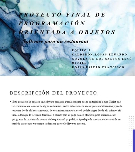 Proyecto Final De Programación Orientada A Objetos Pdf