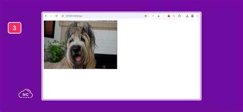 Cómo Leer Una Api En Laravel