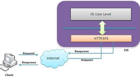 Iis Là Gì Cách Cài đặt Sử Dụng Microsoft Iis BẮc ViỆt