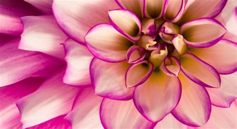 How To Play Photoshop Actions On Multiple Images With Batch Editing