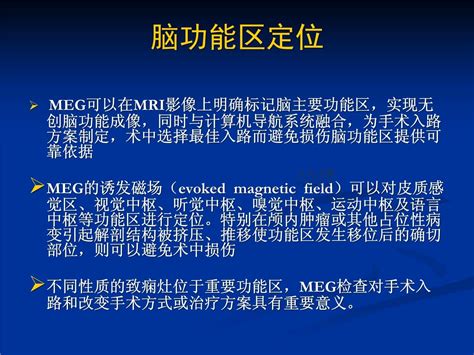 脑磁图功能区定位课件 20230209 Ppt 人人文库