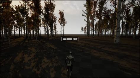 Video Ethan Olson On Linkedin 3d Environmentart Unrealengine Ue5