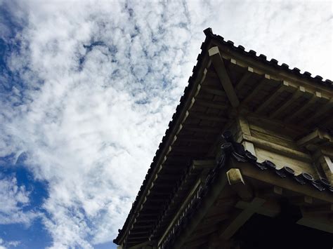 How To Install “valet” And “wp Valet” Command Takayuki Miyauchi