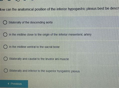 Solved Low Can The Anatomical Position Of The Inferior Chegg Com