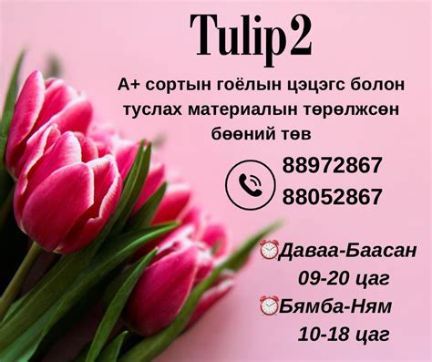 Цэцэгчин Ээжүүд таримал цэцгийн дэлгүүр Цэцэгт мэндчилгээ Цэцэг хүргэлт Цэцэгчин Ээжүүд