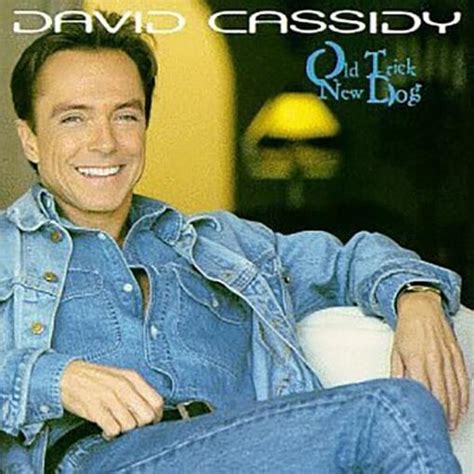 I Think I Love You Letra David Cassidy