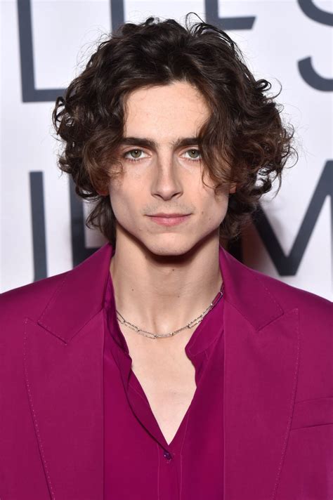 Men In Vogue — Timothée Chalamet At The Little Women Premiere In Timothee Chalamet Actors