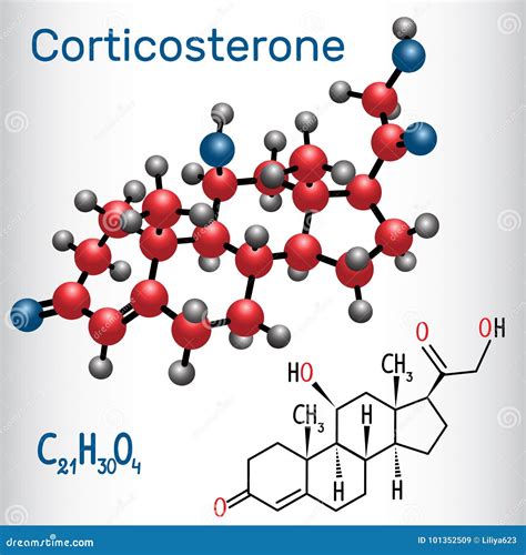Steroid Hormone Cortisol Vector Illustration 163465056