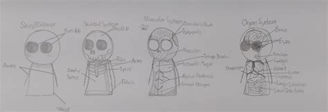 I Drew Oversimplifieds Characters Anatomy May Be Inaccurate Roversimplified
