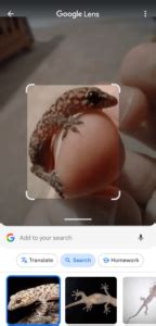 What Is Google Lens And How Do You Use It WebFX