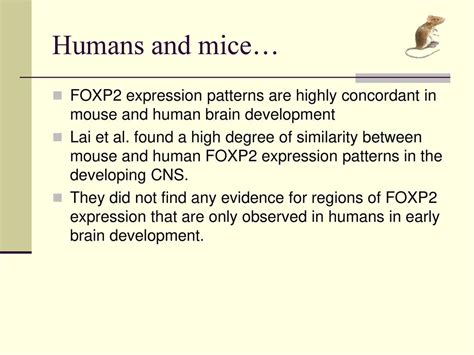 200 000 Years And Talking Dr Bonnie Duncan July 3 Ppt Download
