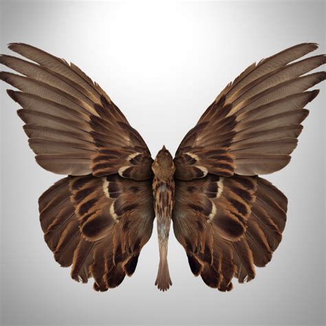 Biology Igcse Variation And Selection Lawra Academy