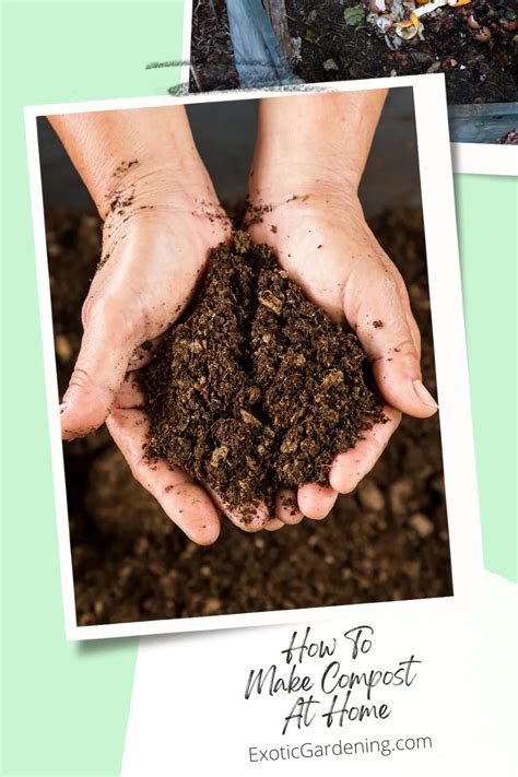How To Make Compost At Home Exotic Gardening