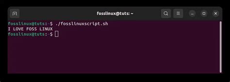 How To Fix Shell Script Permission Denied Error In Linux