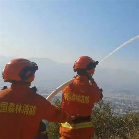 “森林守护者” 凉山森林消防支队直属大队开展水泵训练灭火作战能力指战员