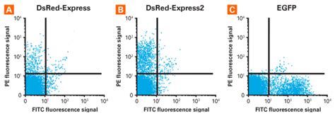 Dsred Express And Dsred Express2 Fluorescent Proteins
