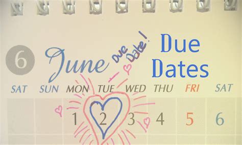 Due Dates All Things Spliced