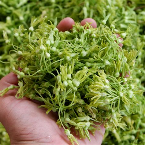 These Local Ingredients Show That Filipino Cuisine Is A Far Reaching