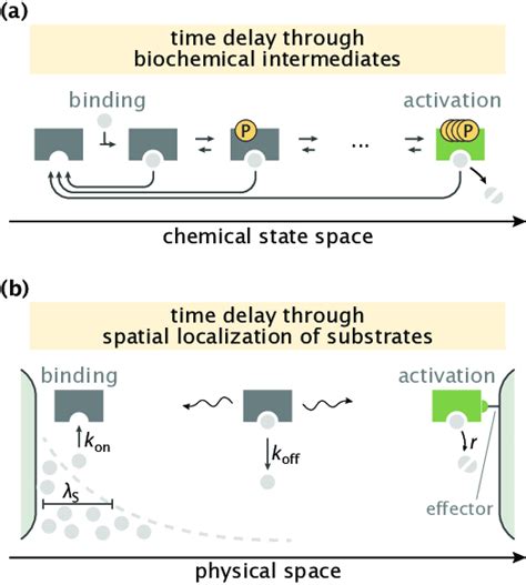 Error Correction Schemes That Operate By Delaying Product Formation