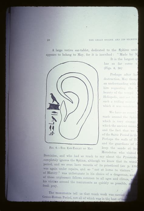 Open Context Color Photo 020772