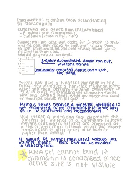 Intro To Chromatin Control Experiment 1 To Confirm Dna De Condensing