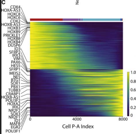 How To Show Gene Names From My List In The Plot Made By Scv Pl Heatmap