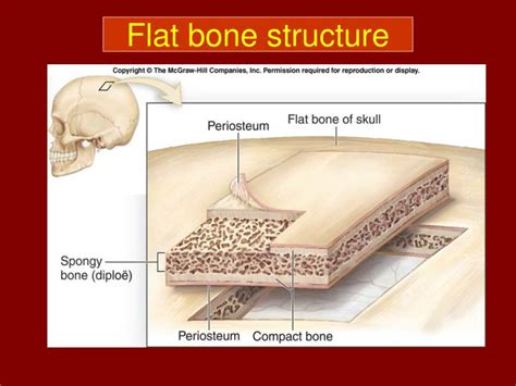 Ppt Chapter 6 1 Powerpoint Presentation Id 821582
