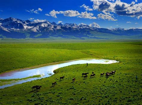Mongolian Nature Tour Home
